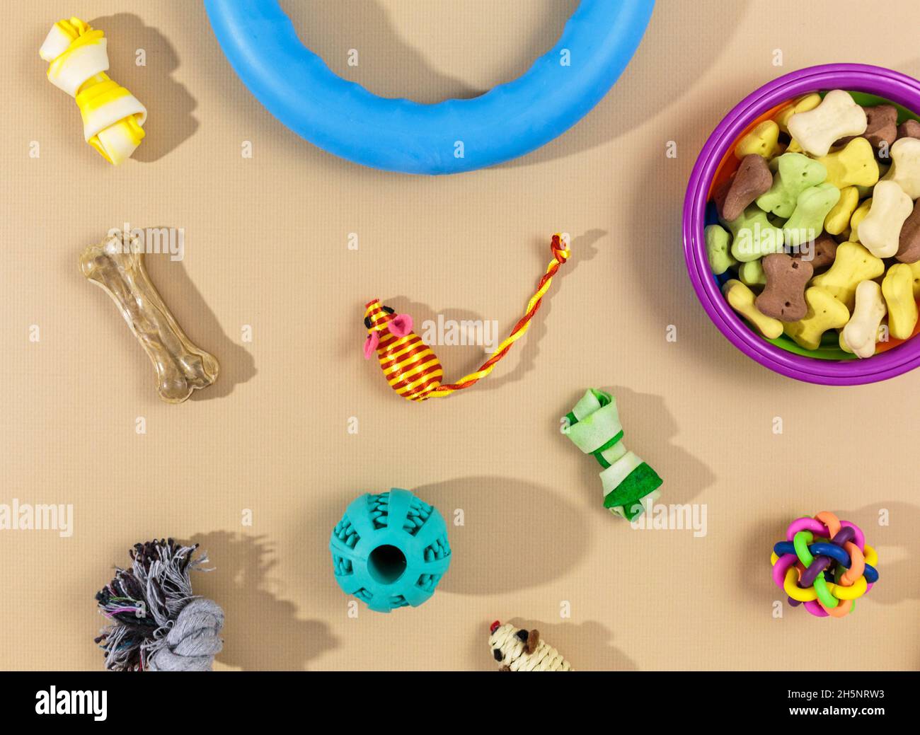 Different multicolored pet care accessories: bowl, bones, balls, snacks ...