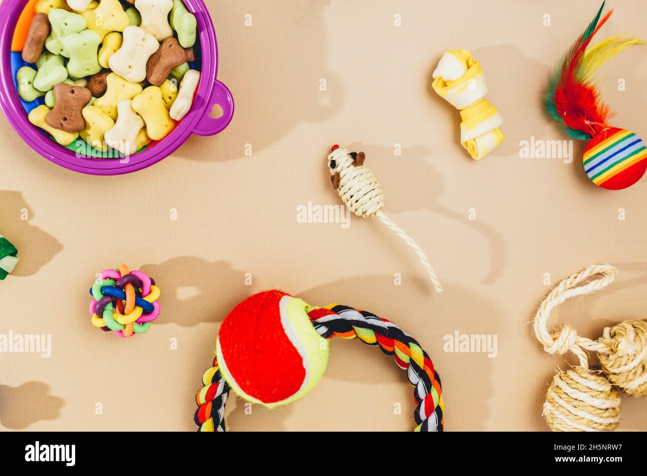 Different multicolored pet care accessories: bowl, bones, balls, snacks ...