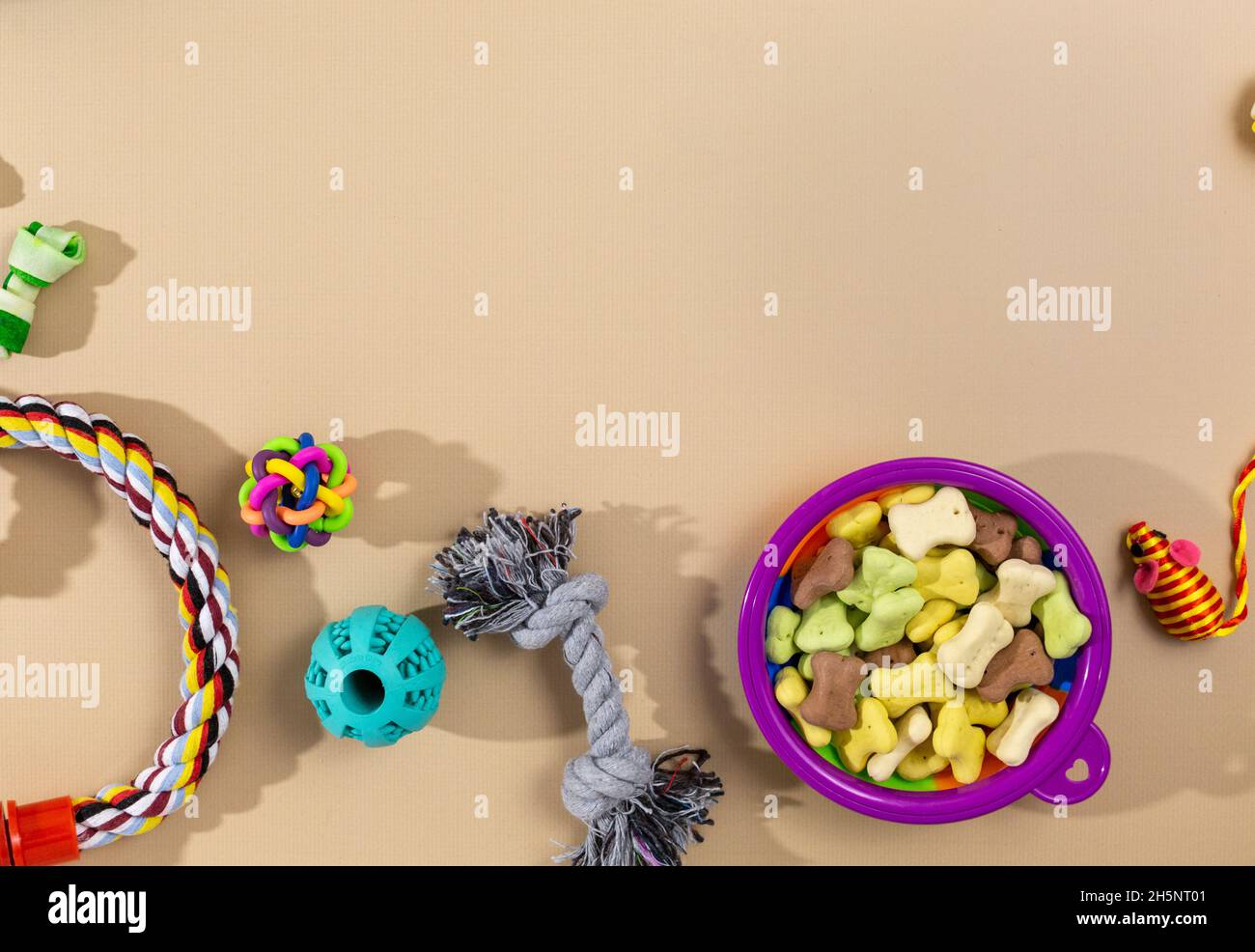 Different multicolored pet care accessories: bowl, bones, balls, snacks ...