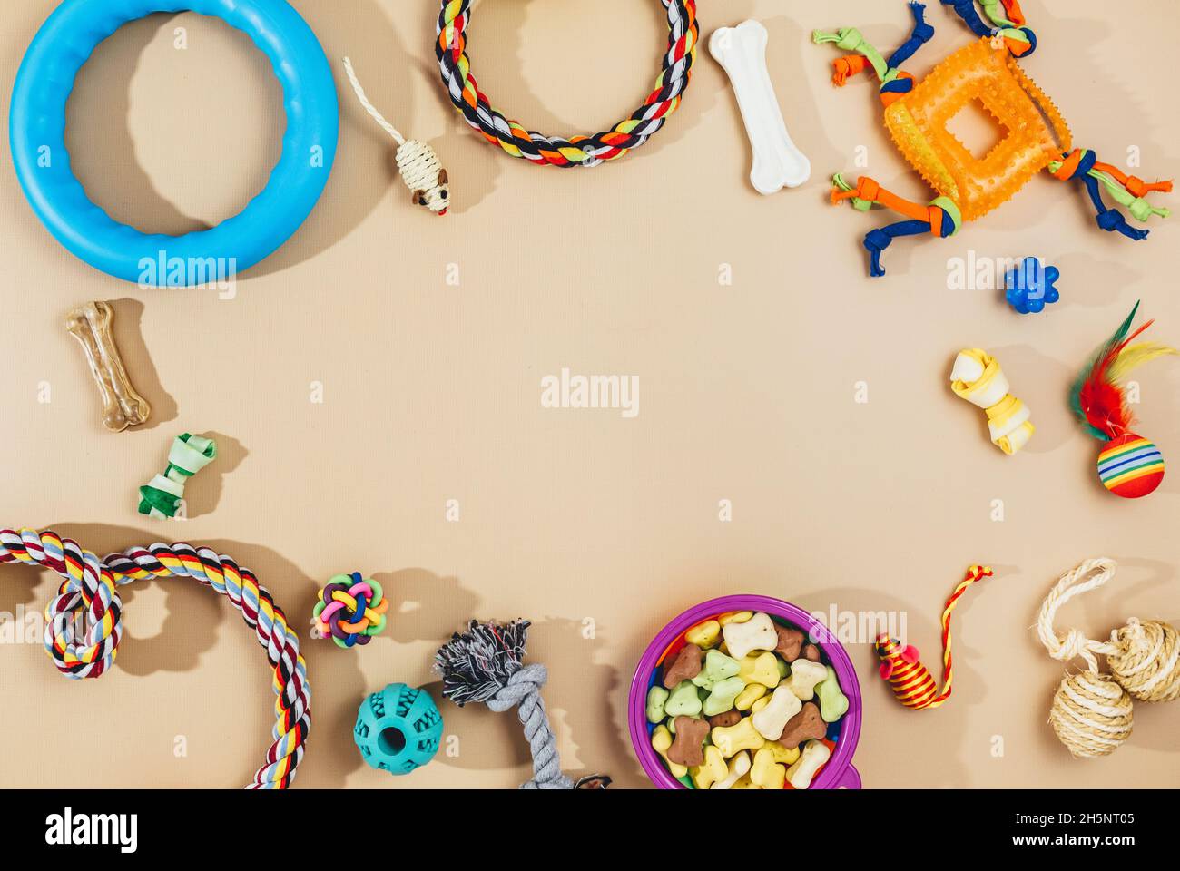 Different multicolored pet care accessories: bowl, bones, balls, snacks ...