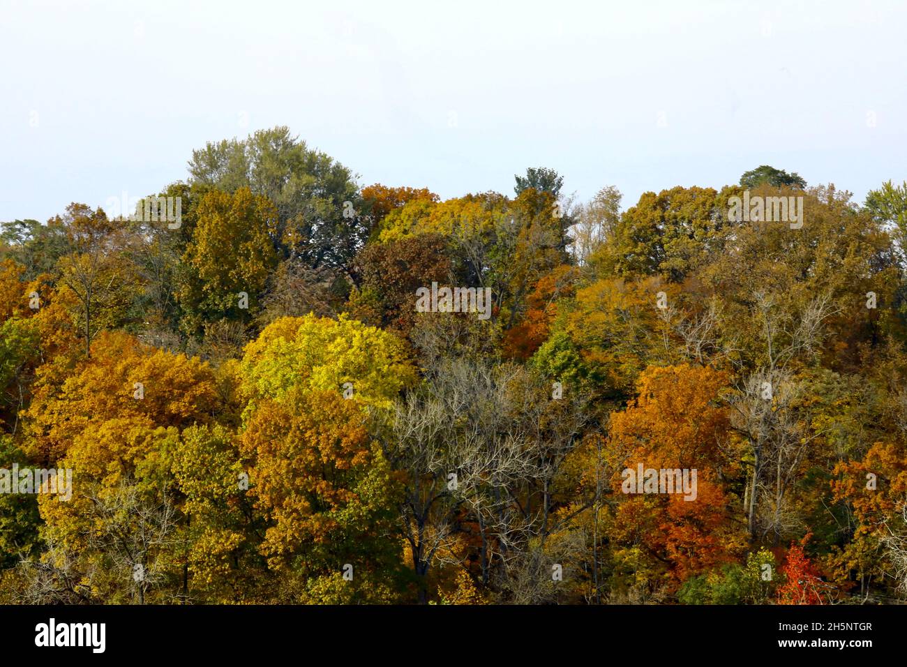 Autumn colors in the public park side Stock Photo - Alamy