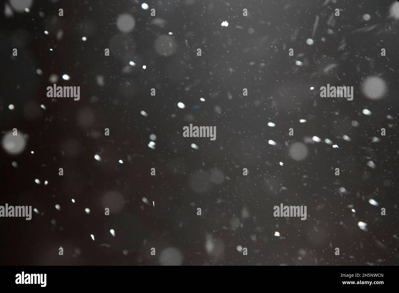 Snow is falling against a dark sky in the light. Night blizzard cold ...