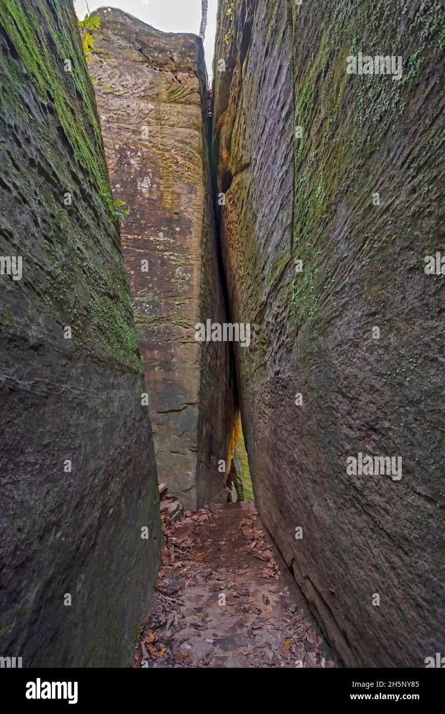 Narrow Trail Between the Rock Slabs in the Rim Rock National Recreation ...