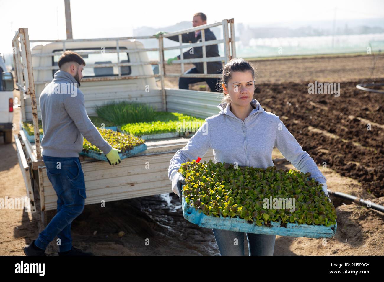 Experienced female worker gardening hi-res stock photography and images ...