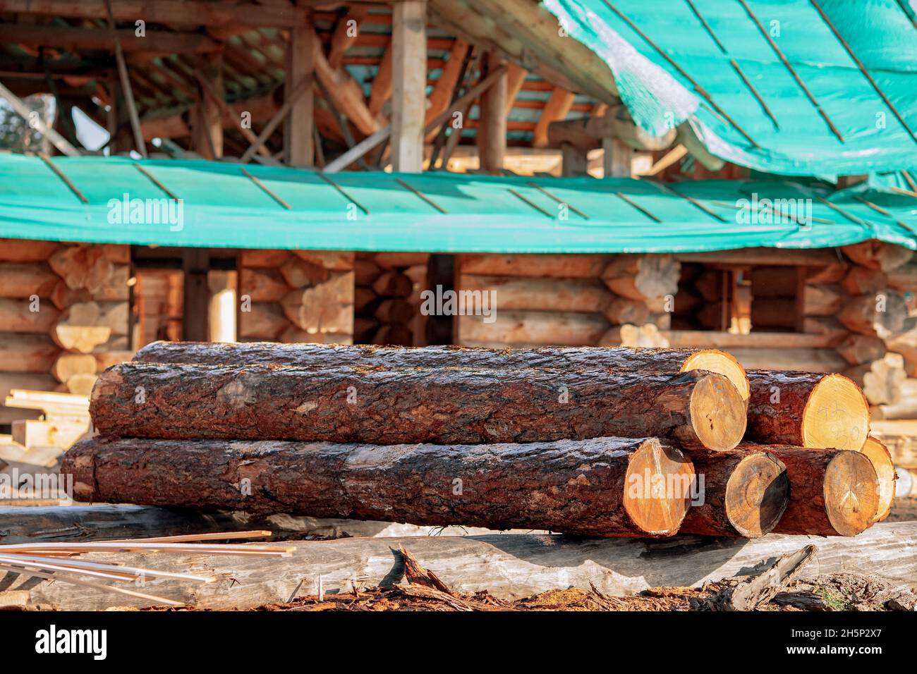 Concept building houses from solid round wood. Logs work lie against ...