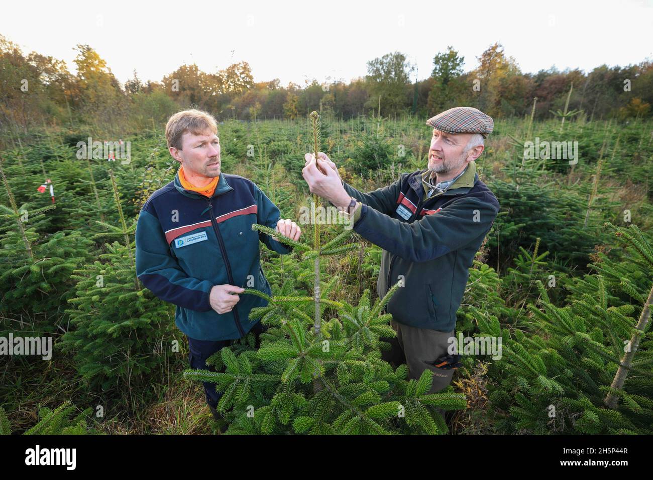 Forester stand hi-res stock photography and images - Alamy