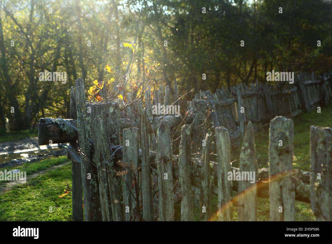 Old, wooden fence Stock Photo - Alamy