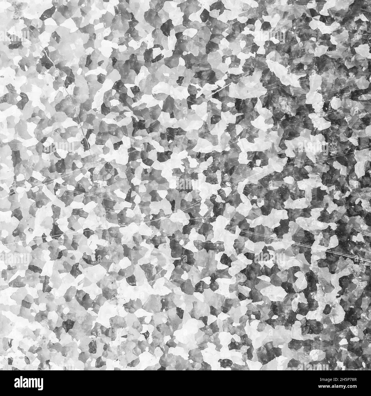 Woodland camouflage Black and White Stock Photos & Images - Alamy