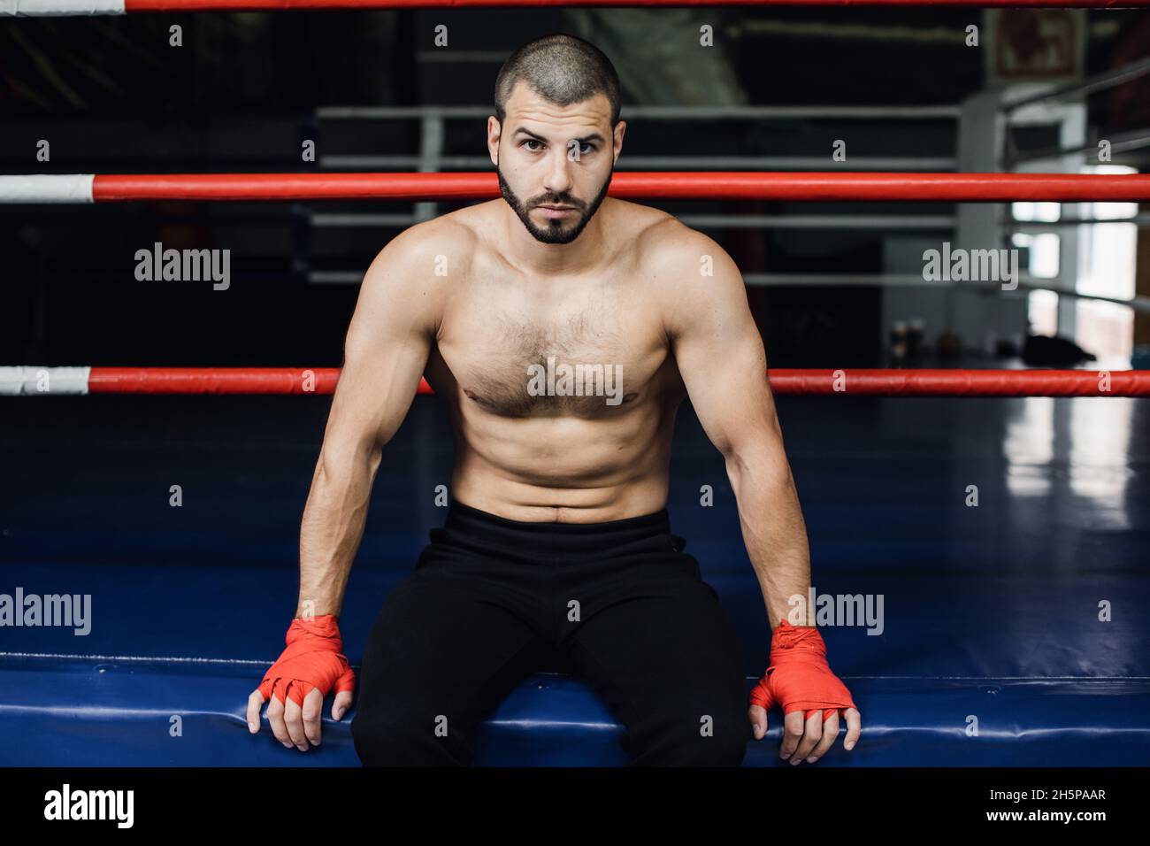 Boxing man ready to fight. Boxing, workout, muscle, strength, power ...