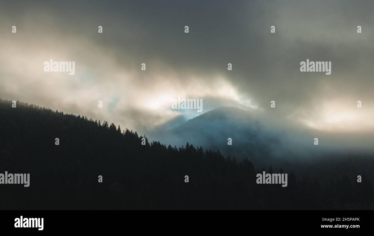 The rays of the rising sun break through the morning fog in the ...