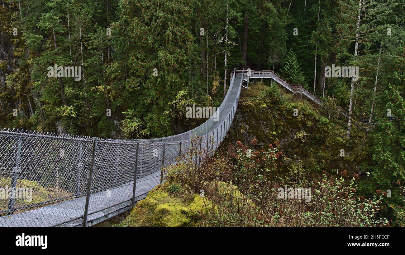 View of suspension bridge spanning a canyon in Elk Falls Provincial ...