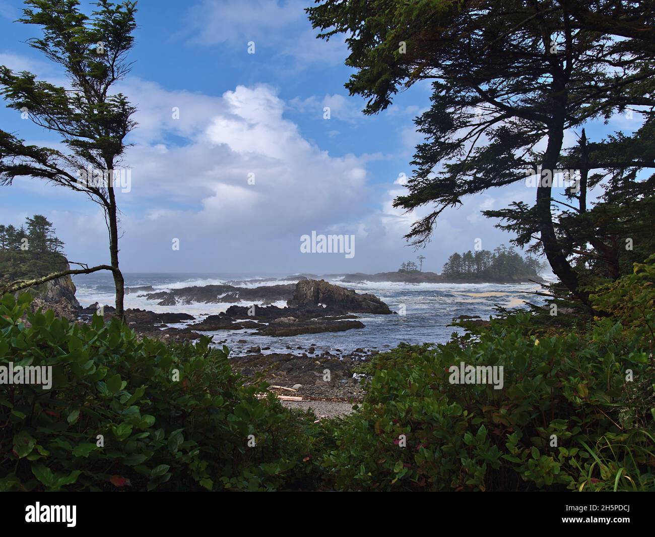 Vancouver island rocks hi-res stock photography and images - Alamy