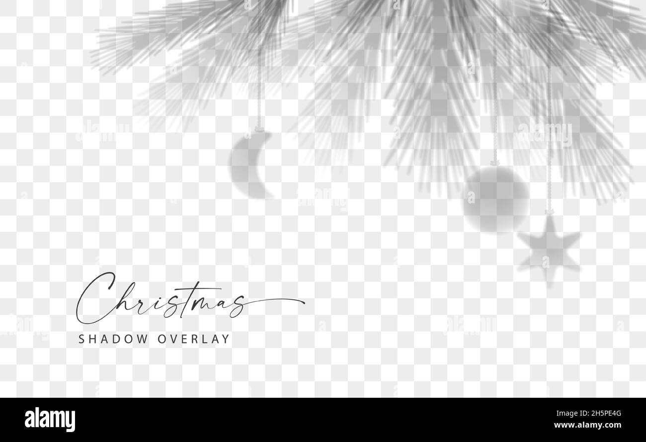 Shade from tree Stock Vector Images - Alamy