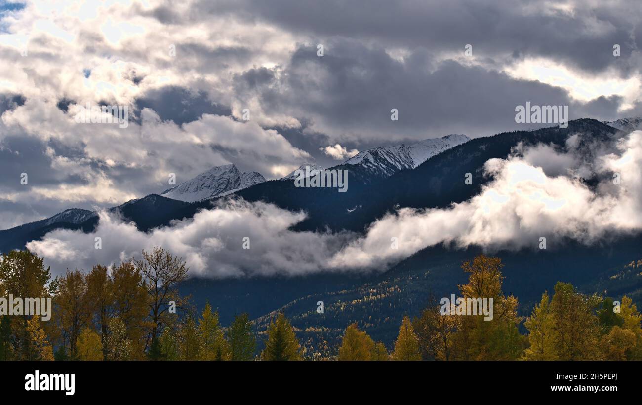 View of the snow-capped Rocky Mountains in autumn season with yellow ...