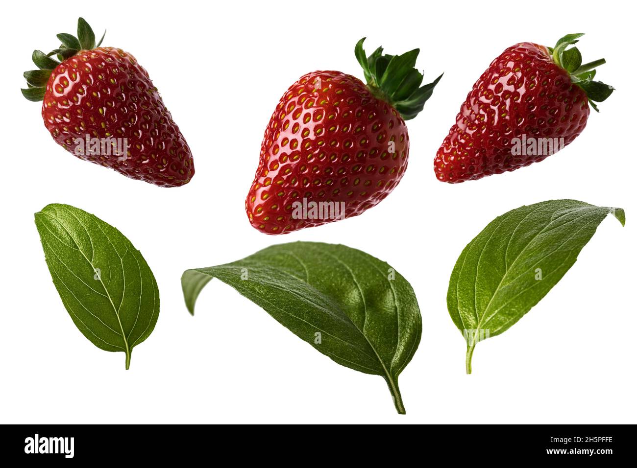 Strawberries and basil leaves for collages. Isolated over white ...