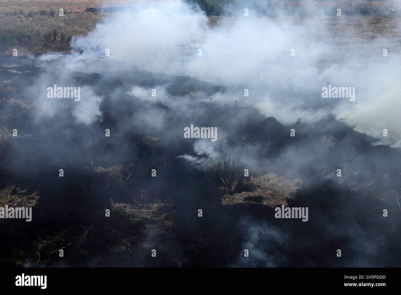 Burning of stubble in paddy fields after harvesting Stock Photo - Alamy