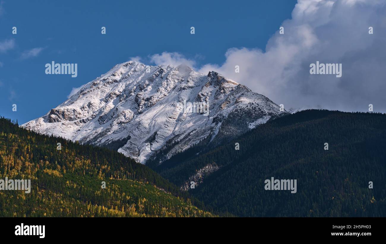Canada forest hi-res stock photography and images - Alamy