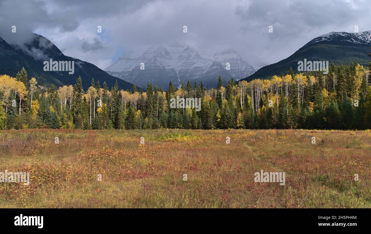 Mount robson 3 hi-res stock photography and images - Alamy