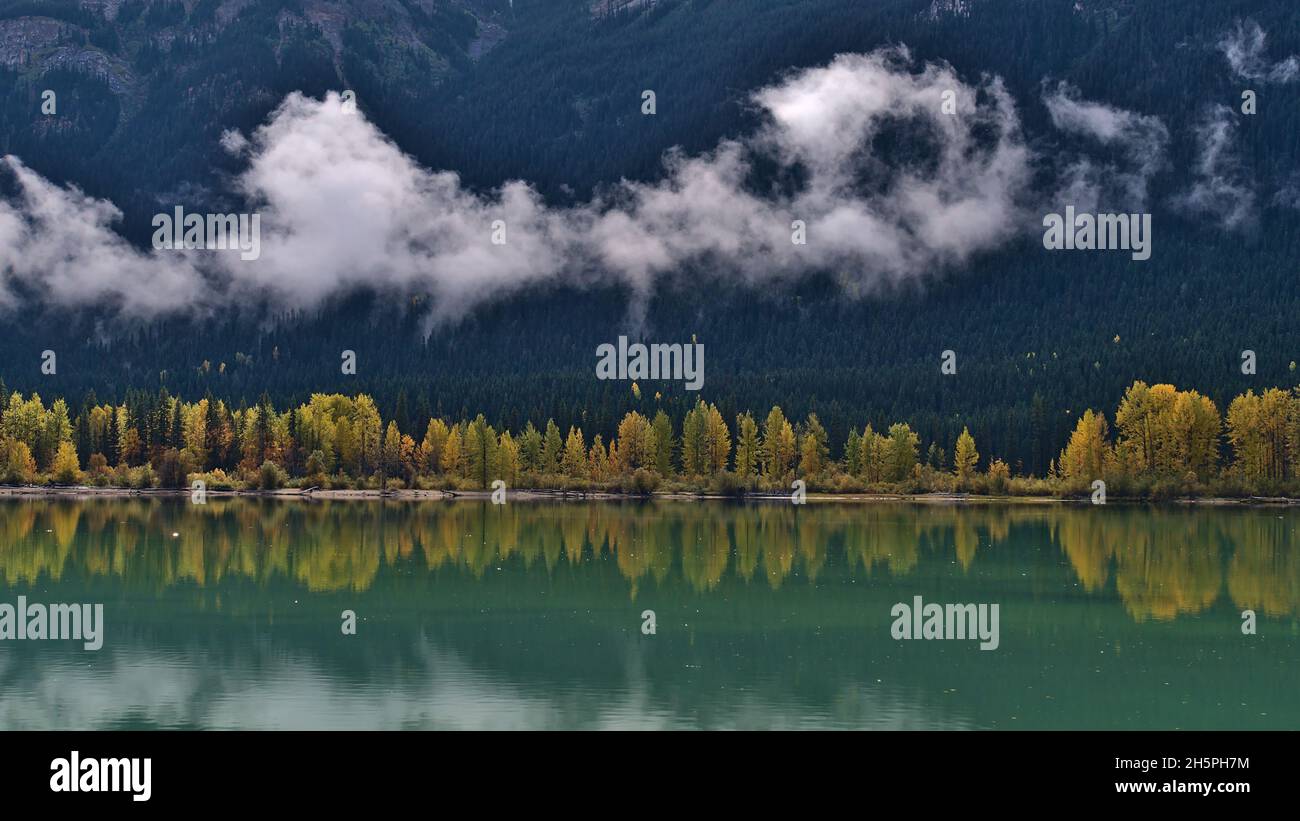 Moose lake hi-res stock photography and images - Alamy