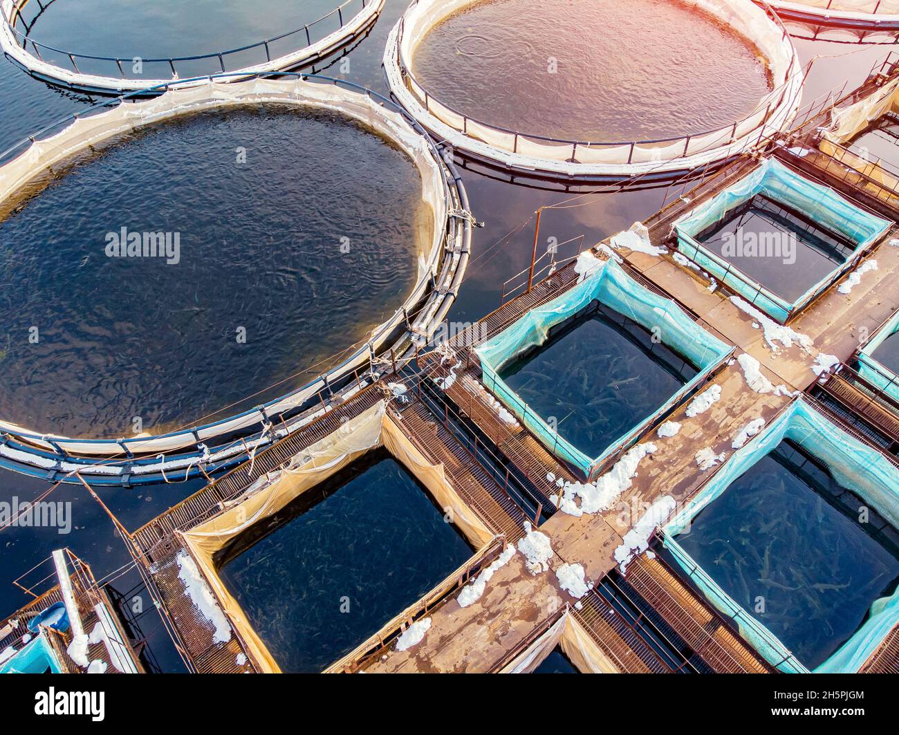 Salmon fish farm aquaculture blue water. Aerial top view Stock Photo ...