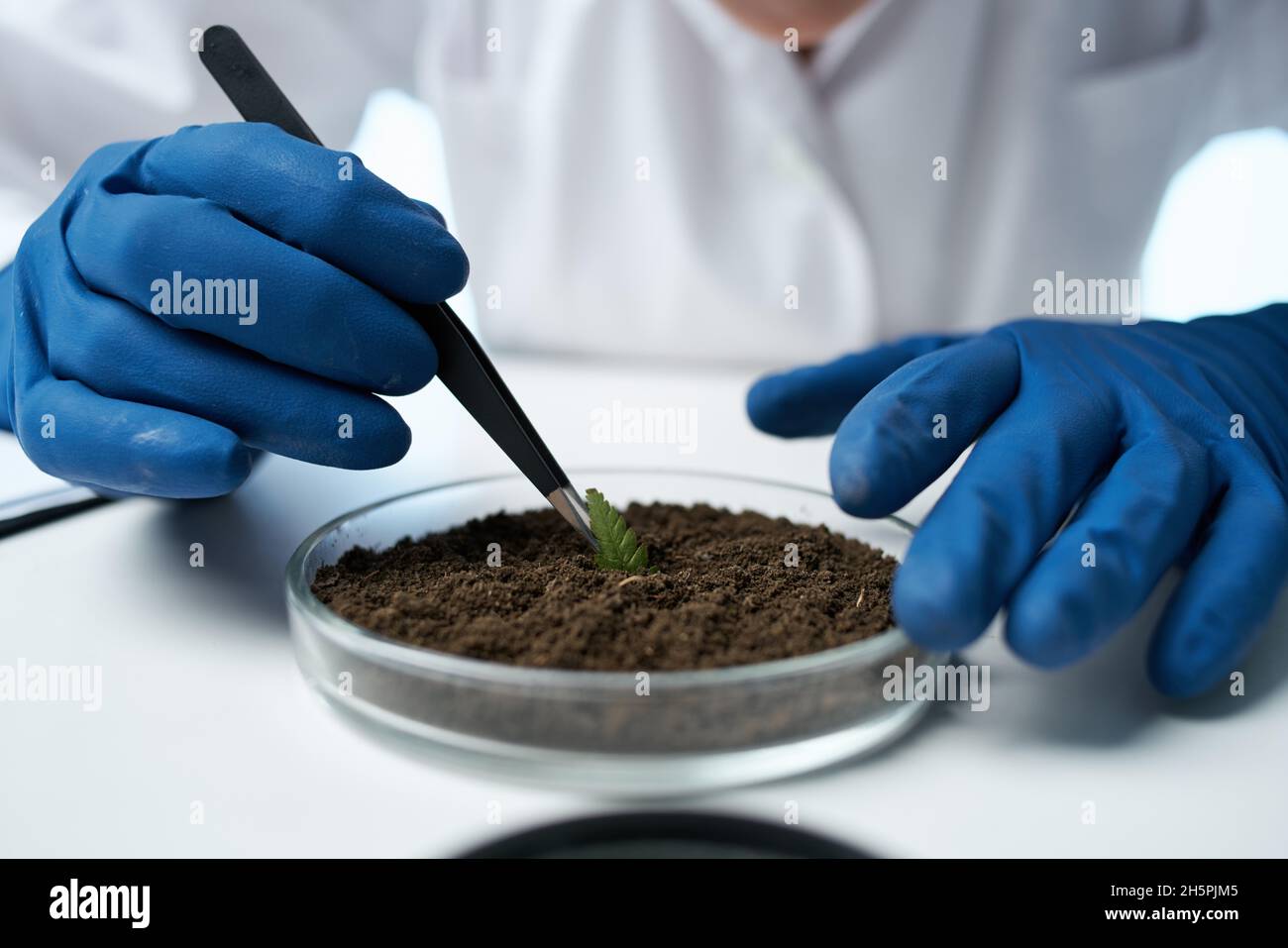 female doctor research biology ecology experiment Studio Stock Photo ...