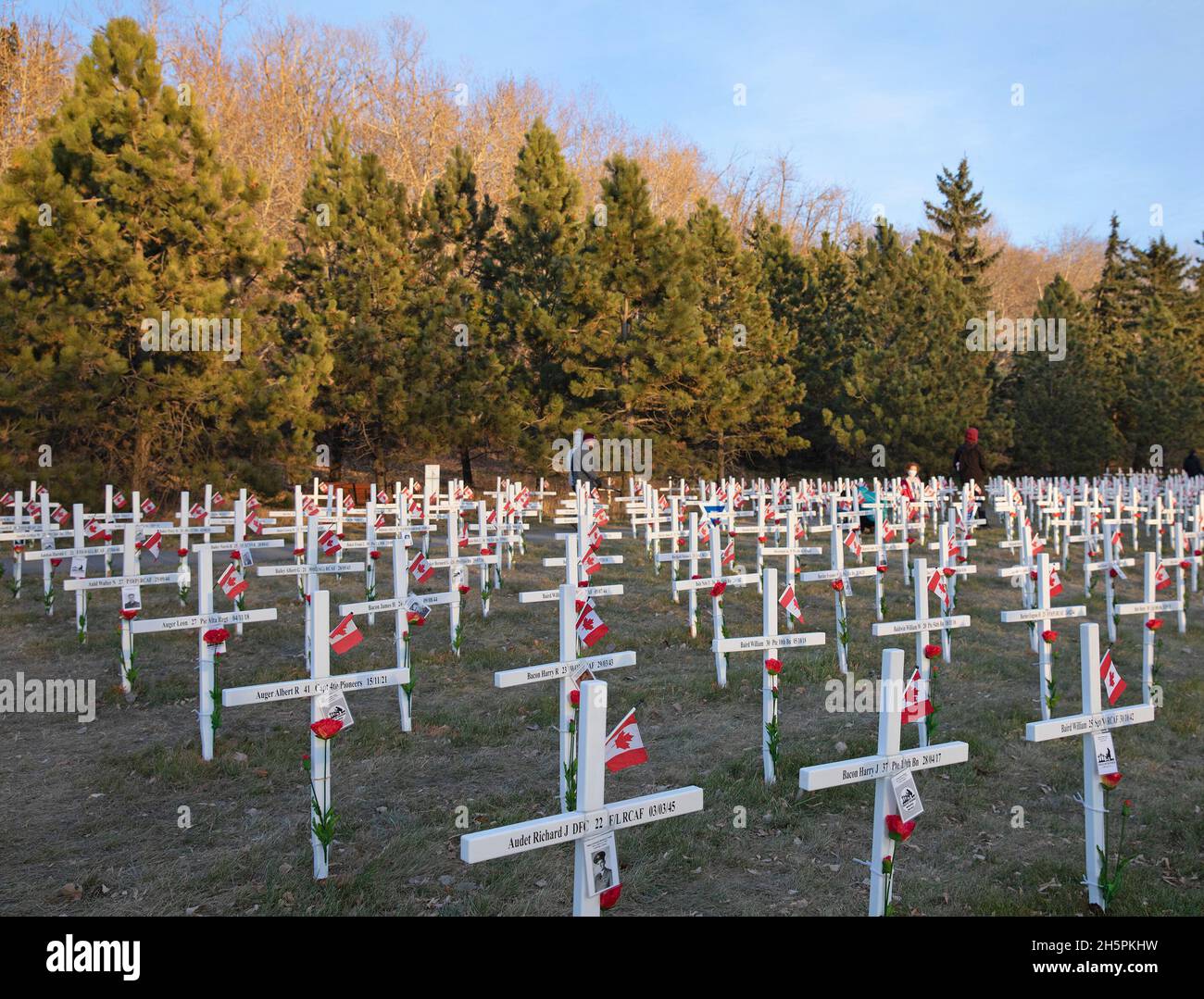 Field white crosses world war hi-res stock photography and images - Alamy