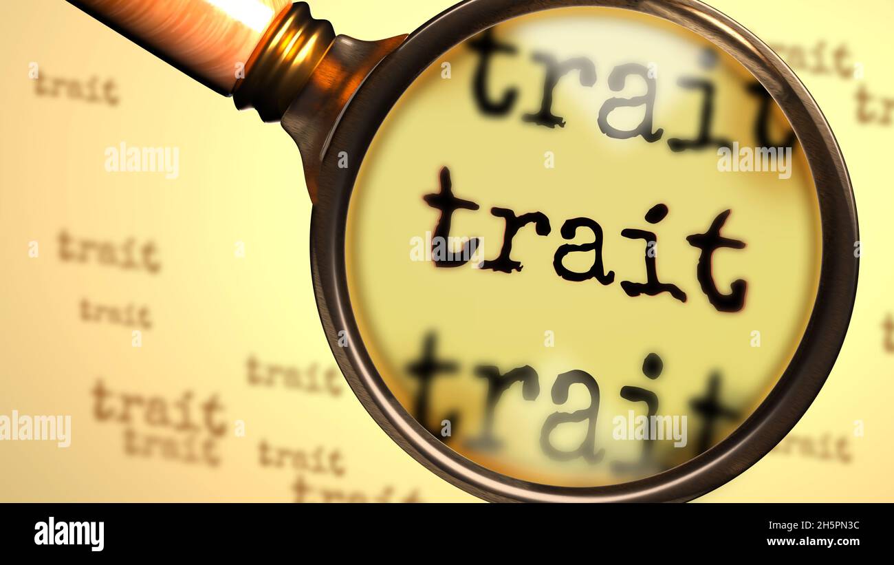 Trait - magnifying glass enlarging English word Trait to symbolize ...