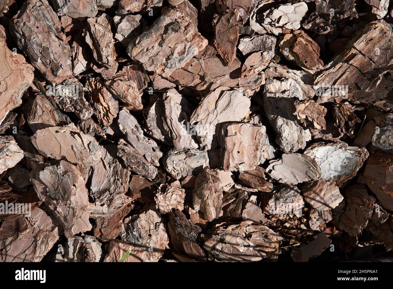 The texture of crushed tree bark on a close-up background. Crushed ...