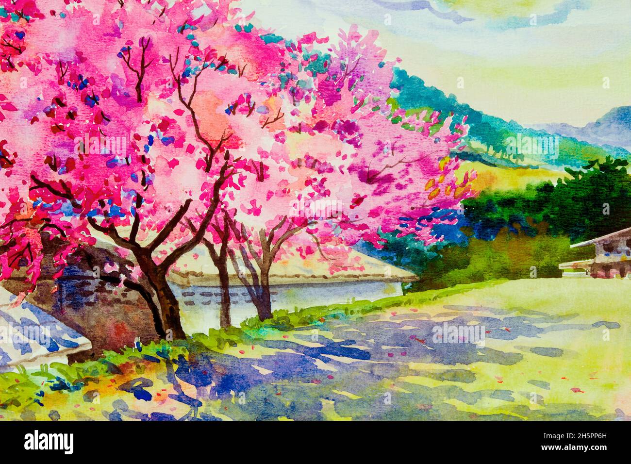 Pink red color of Wild himalayan cherry, roadside in the morning with ...