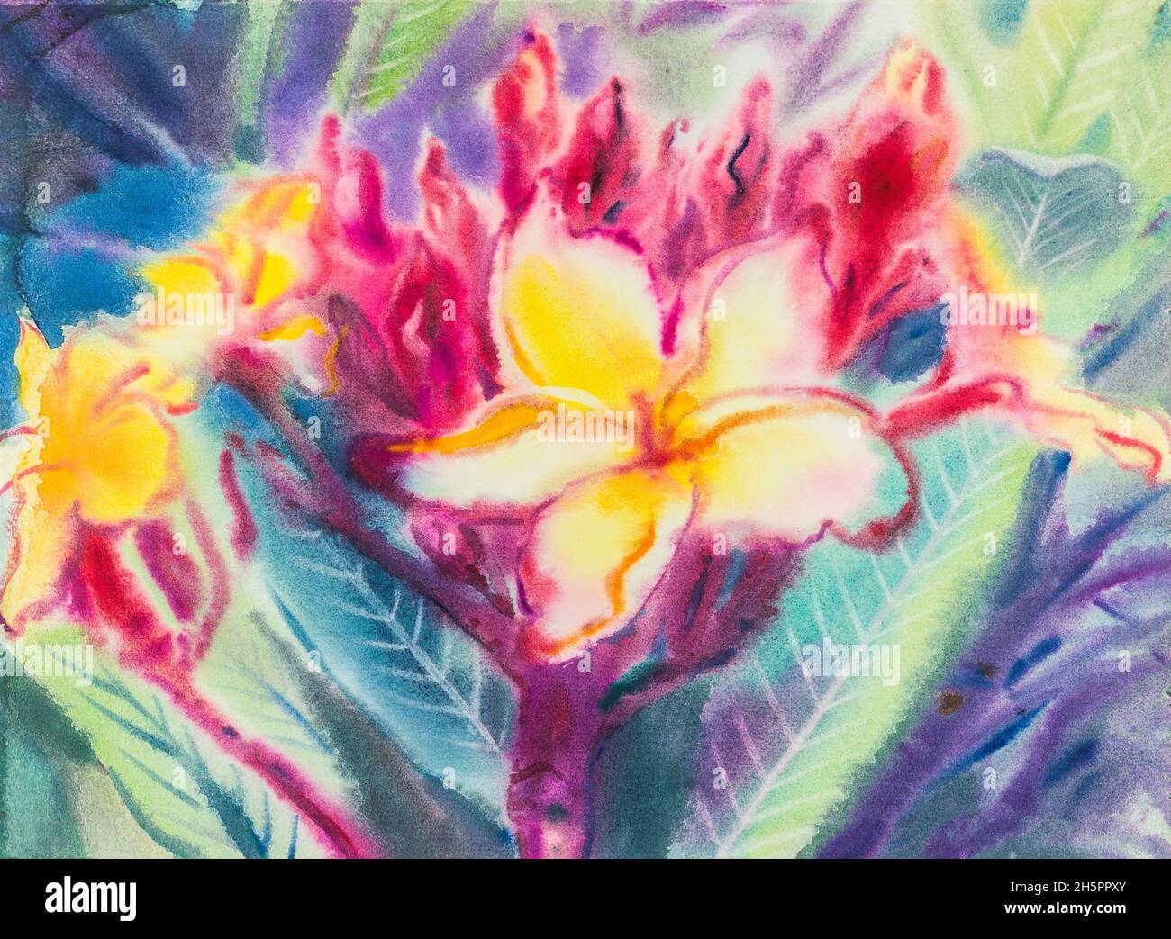 Abstract watercolor original painting purple,yellow color of Frangipani ...