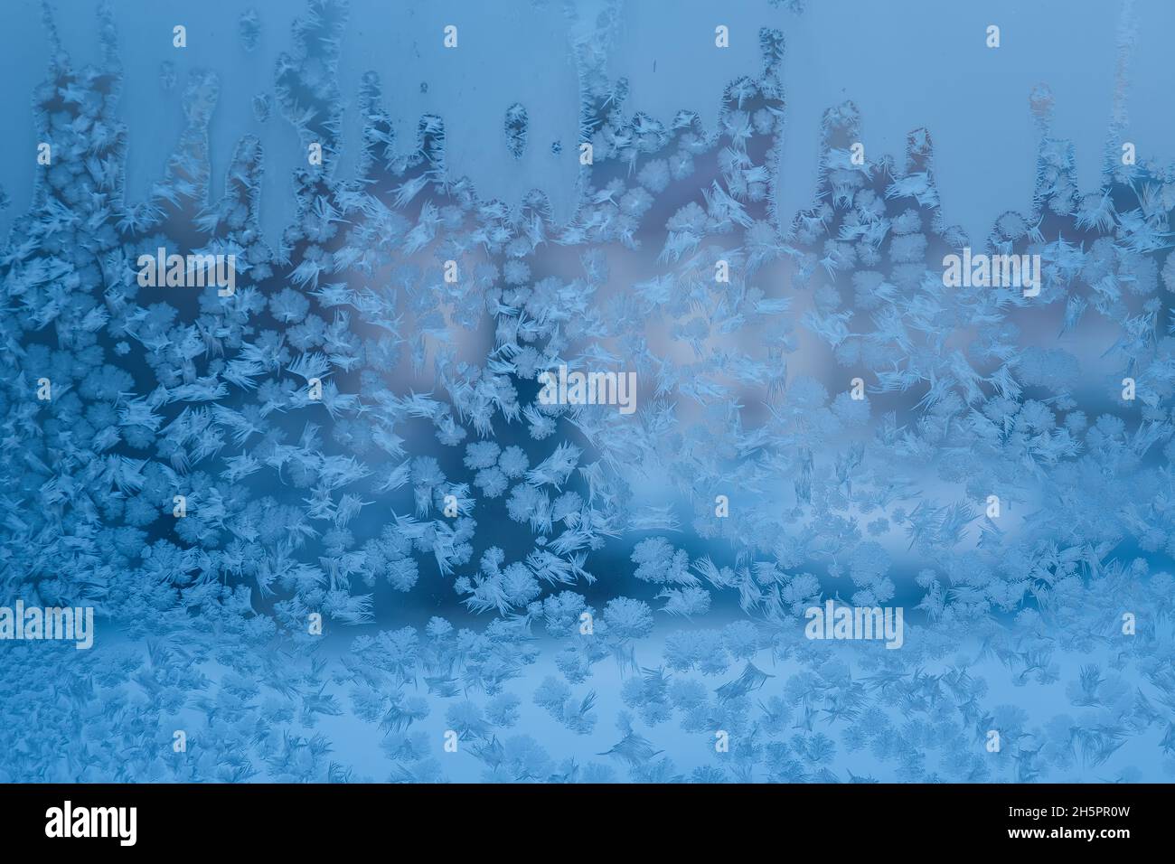 Ice flowers. Window frost. Winter time background. Frozen icy texture ...