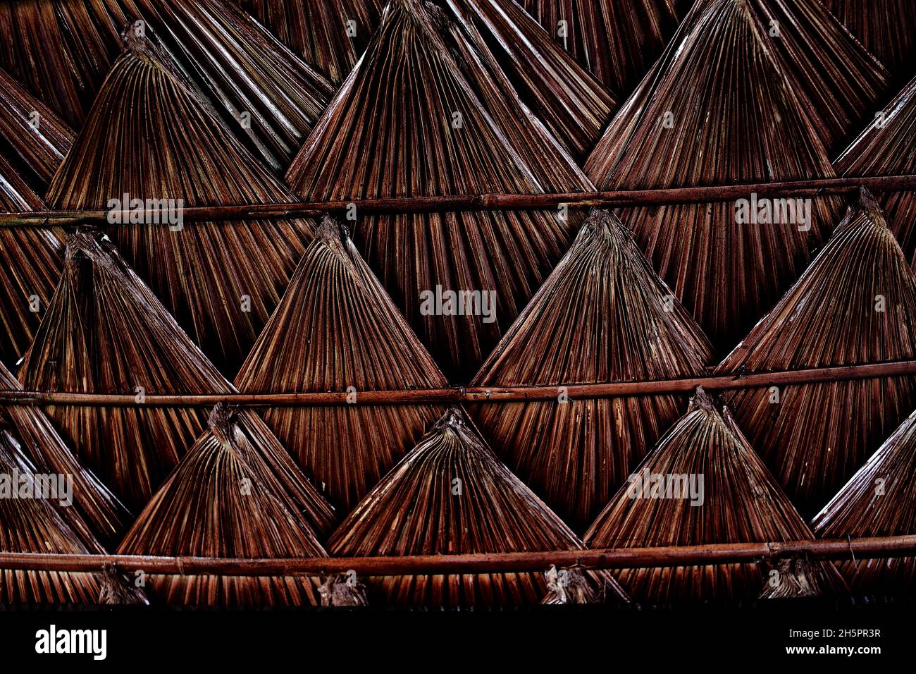 The Beautiful abstract dry leaves pattern background Stock Photo - Alamy