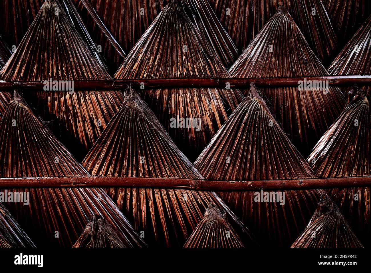 The Beautiful abstract dry leaves pattern background Stock Photo - Alamy