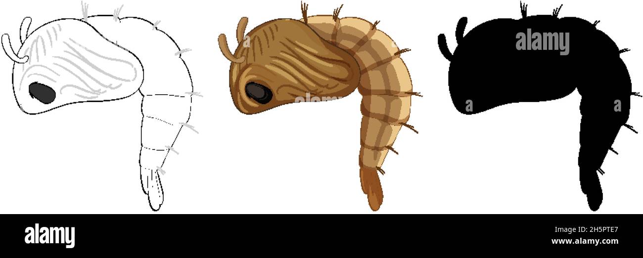 Mosquito life cycle Cut Out Stock Images & Pictures - Alamy