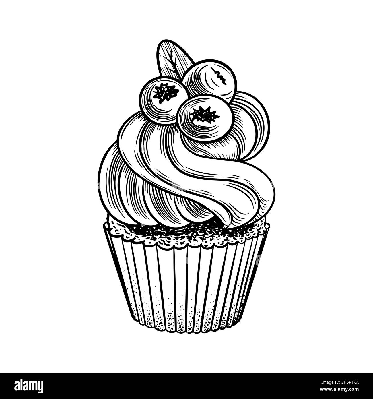 Hand drawn cupcake sketch. Sweet muffin with blackberry isolated on white background. Vector ...