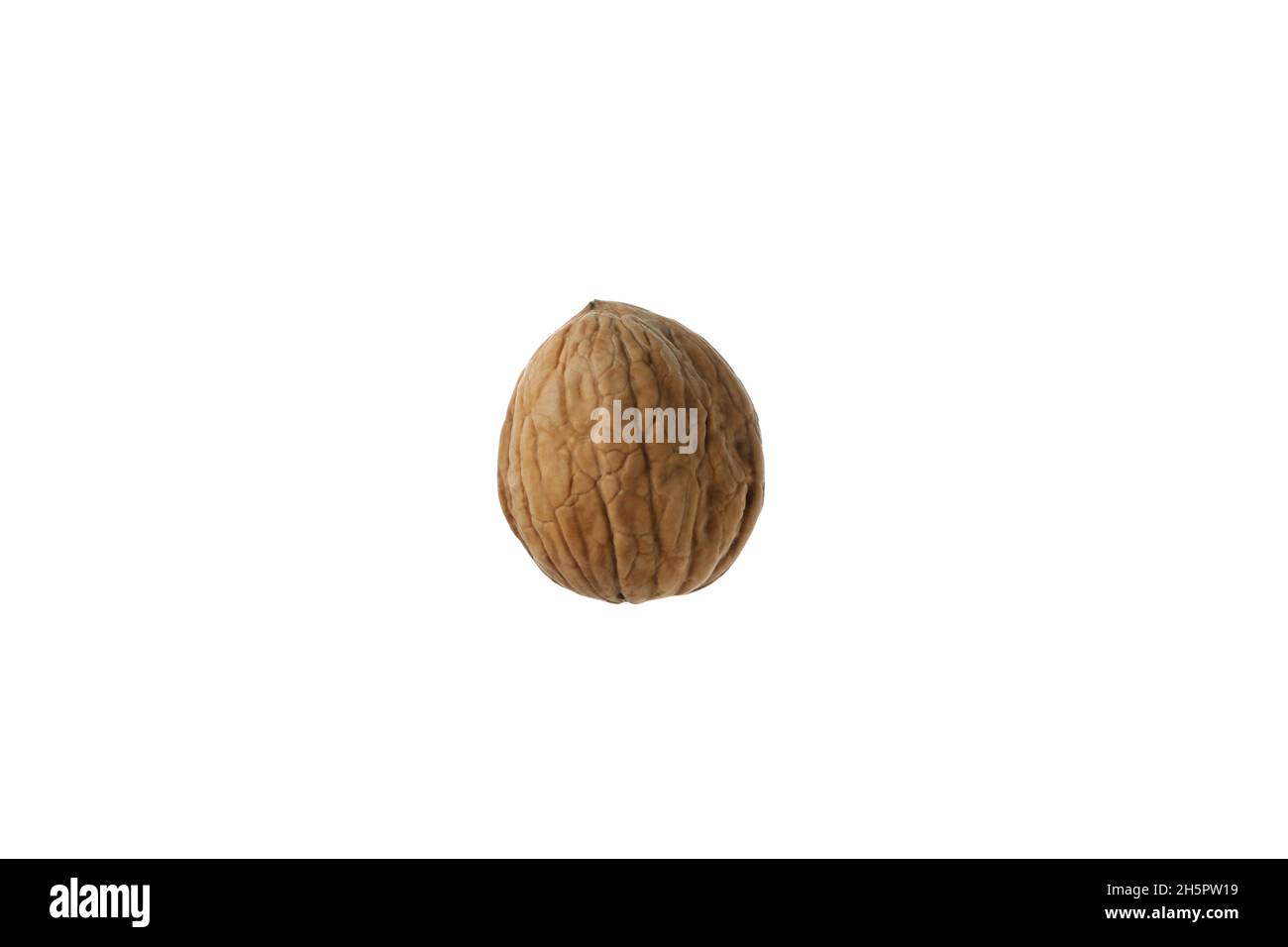 Walnuts whole peeled wooden Cut Out Stock Images & Pictures - Alamy