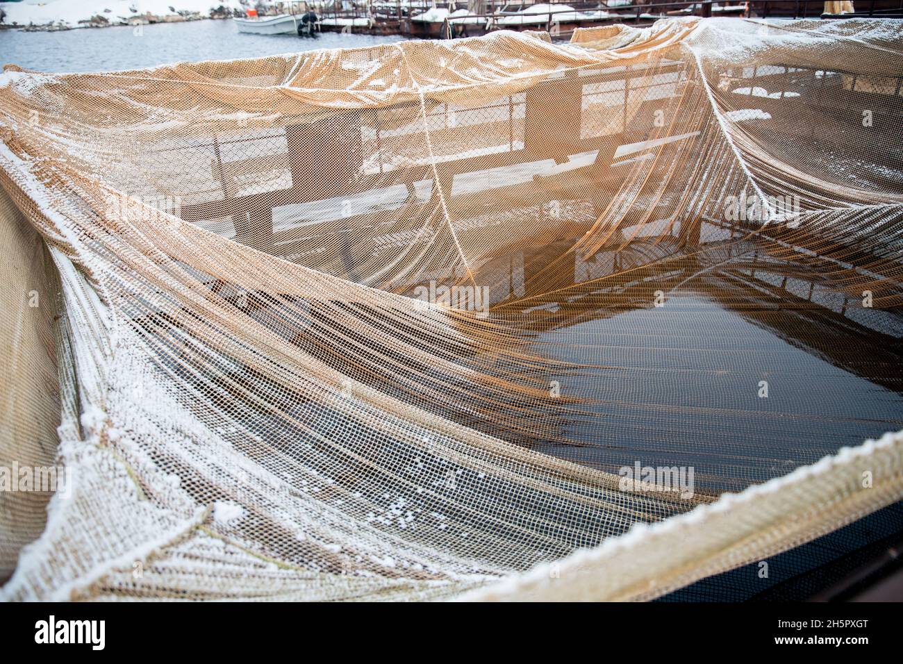Fish farm for breeding for rainbow trout and salmon fry in net cages ...