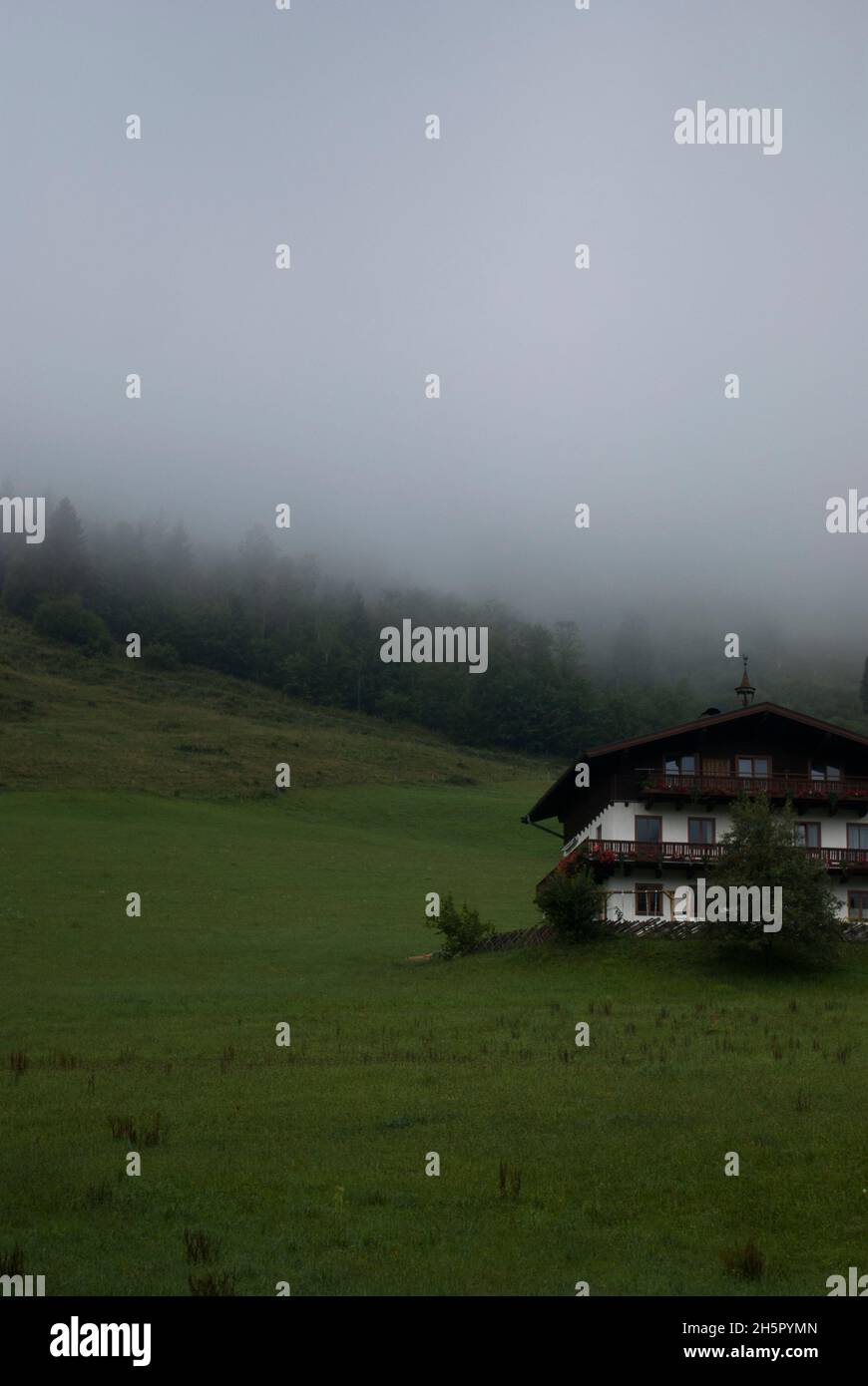 Summer house hill woods hi-res stock photography and images - Alamy