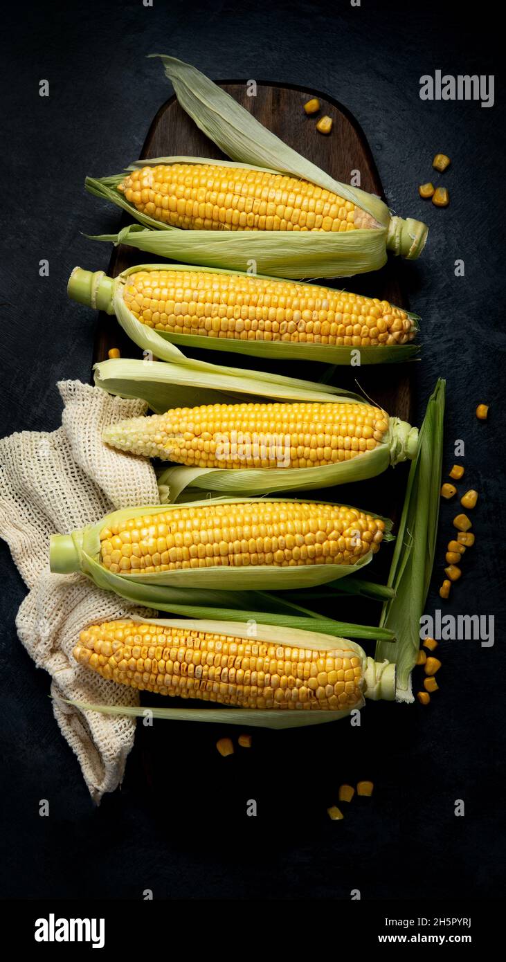 Raw corn or maize on dark background. Harvest food concept. Top view ...