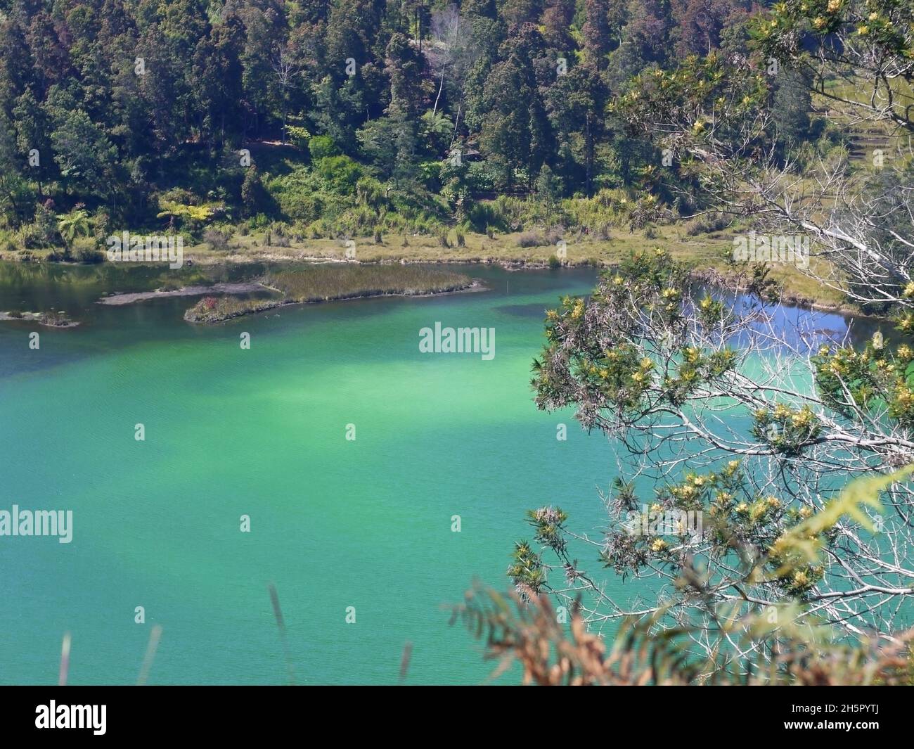 View of Telaga Warna in Dieng Plateau, Central Java, Indonesia with the ...