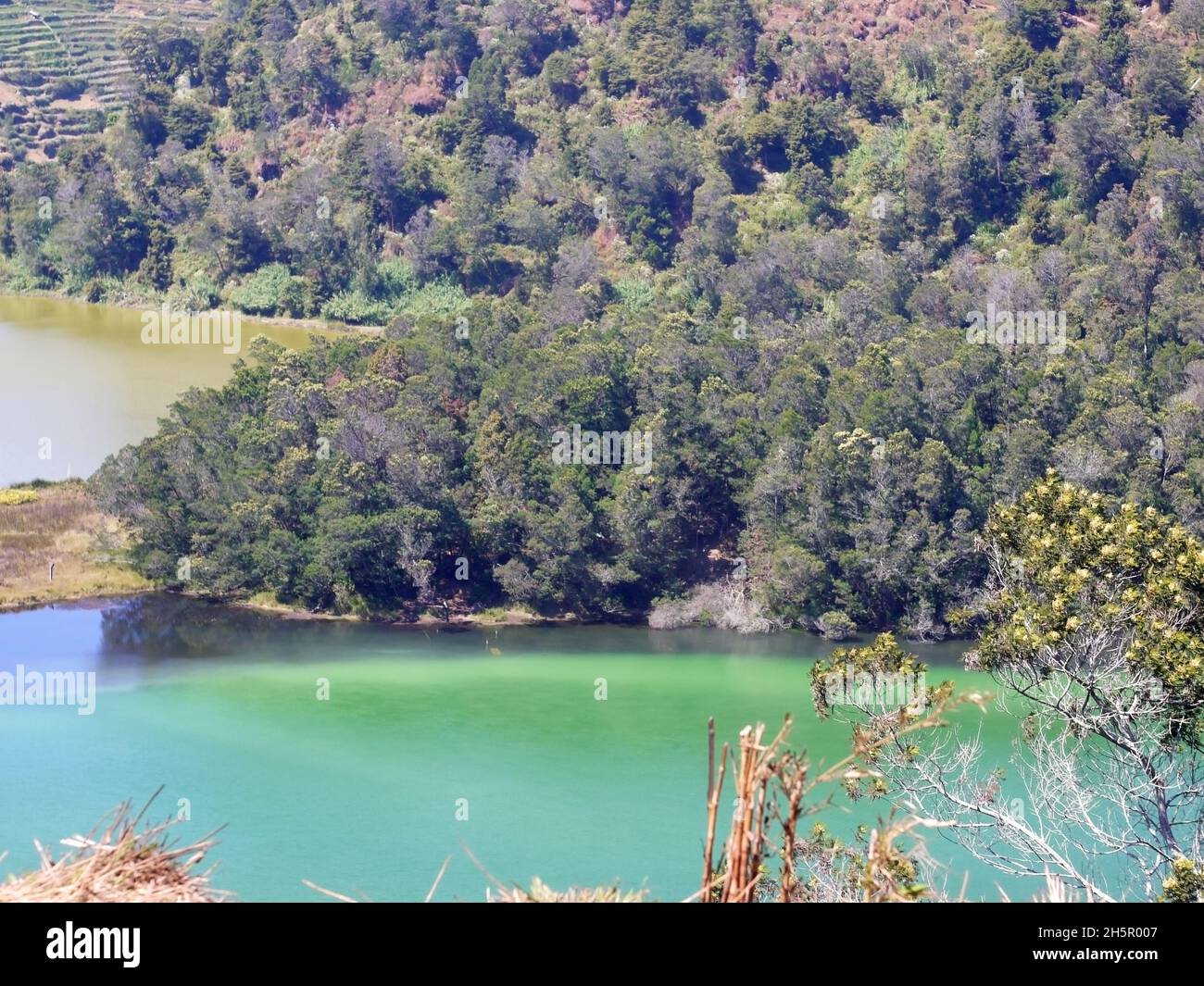 View of Telaga Warna in Dieng Plateau, Central Java, Indonesia with the ...