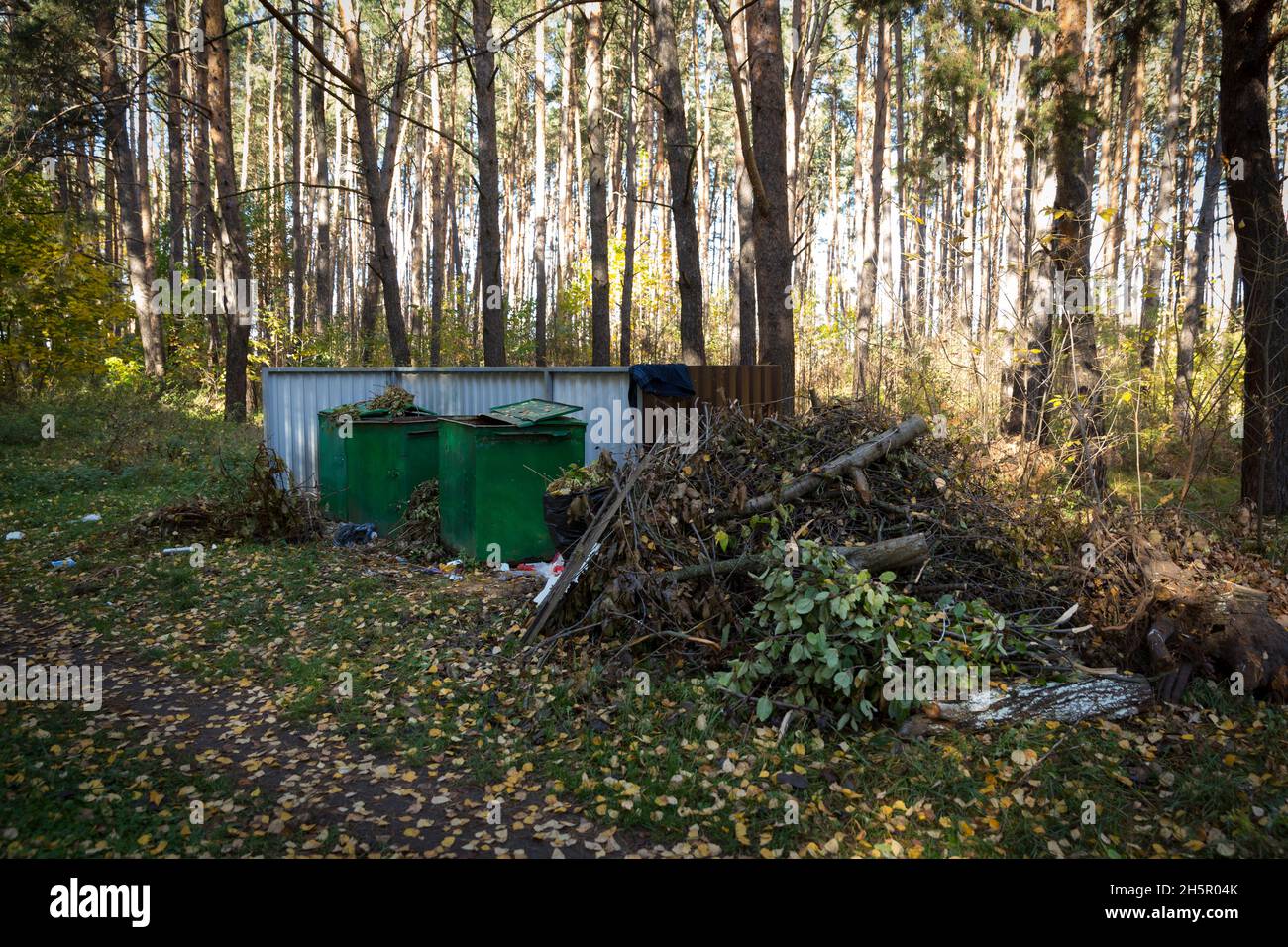 Green metal containers for collecting garbage in the forest. Waste ...