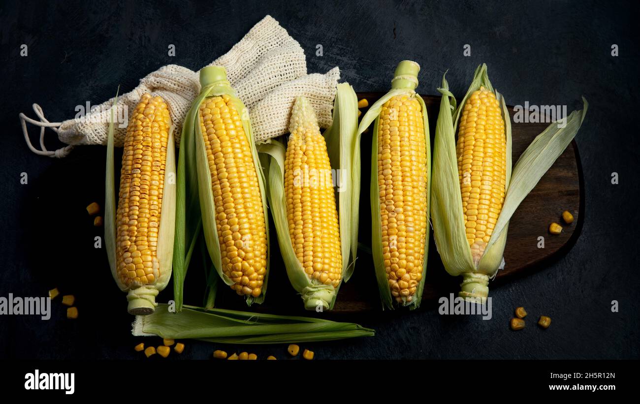 Raw corn or maize on dark background. Harvest food concept. Top view ...
