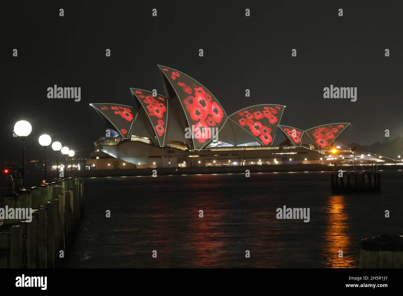 Sydney opera house poppies hi-res stock photography and images - Alamy