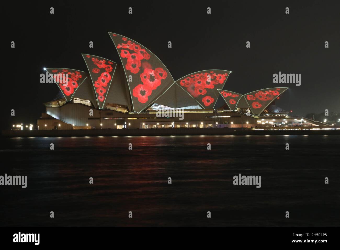 Sydney opera house poppies hi-res stock photography and images - Alamy