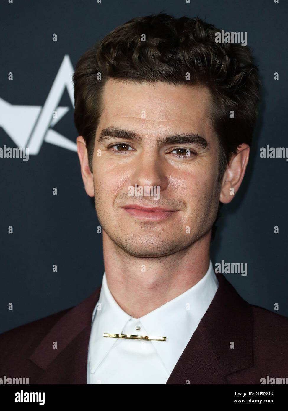 HOLLYWOOD, LOS ANGELES, CALIFORNIA, USA - NOVEMBER 10: Actor Andrew ...