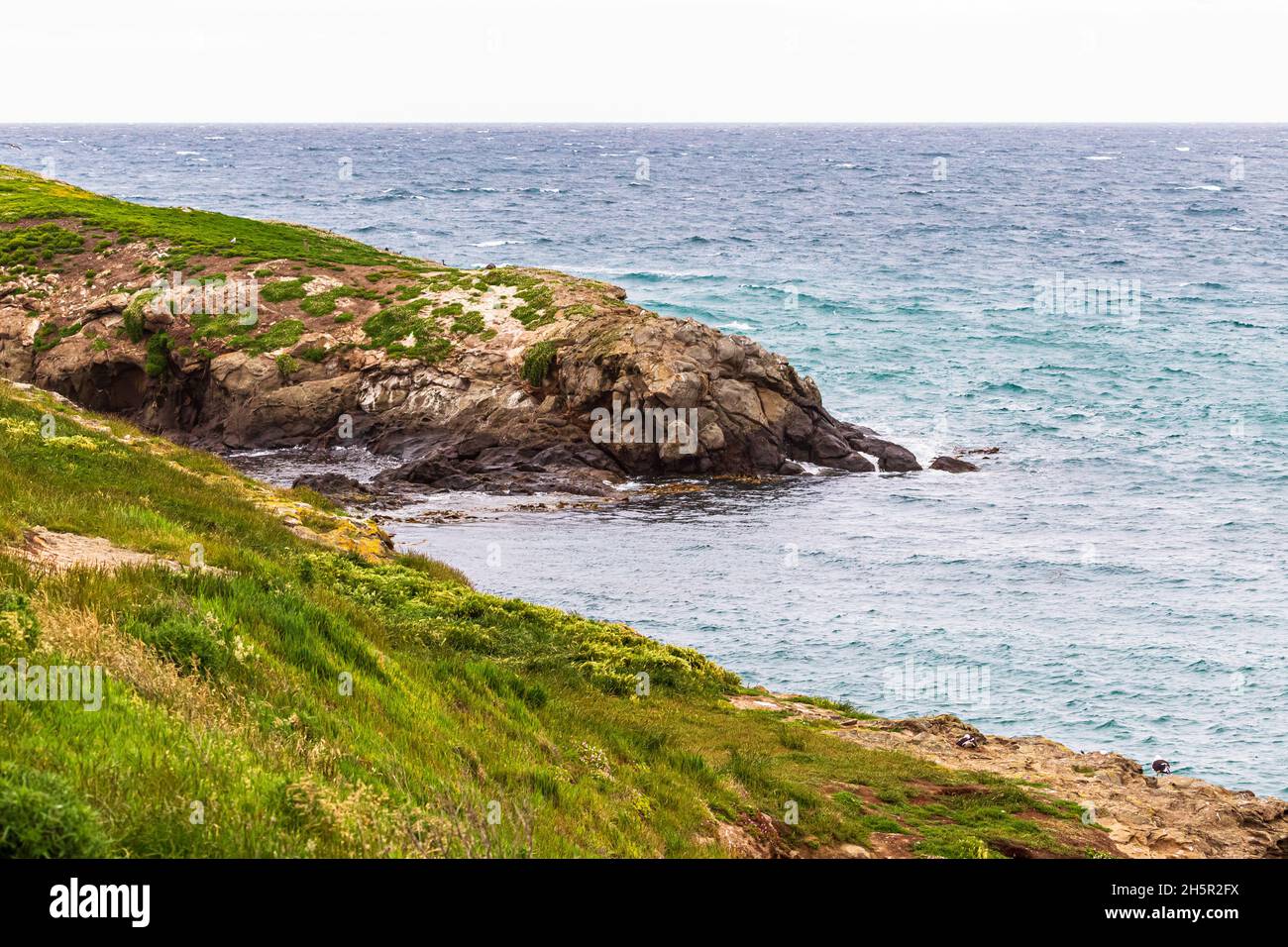 Cape Katiki Point. Rocky shores of the Pacific Ocean. South Island, New ...