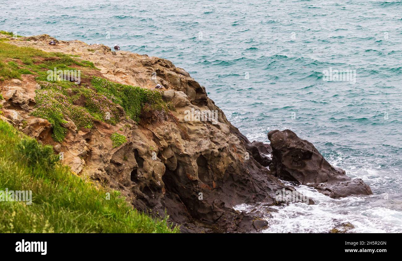 Katiki point. Pacific coast of the South island. New Zealand Stock ...