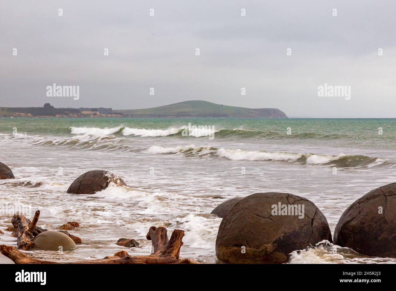 The spherical boulders of Moeraki on the Pacific ocean. South Island ...