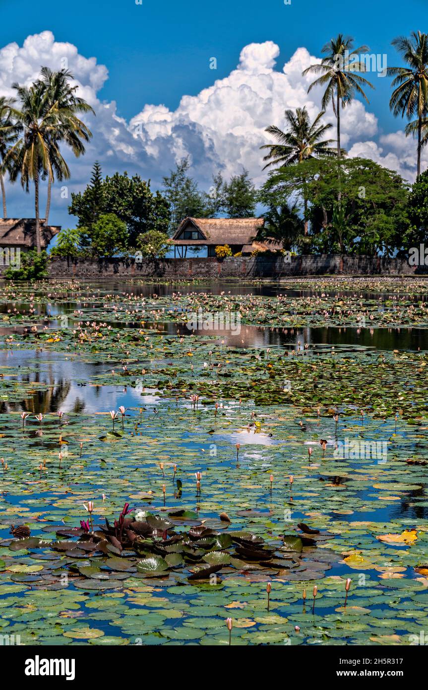 Candidasa pond, Bali, Indonesia Stock Photo - Alamy